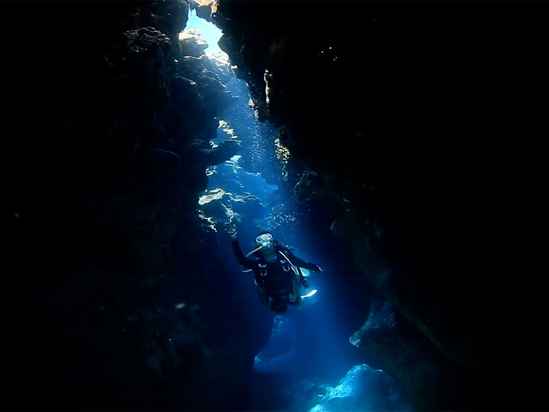 第二屆臺灣生態環境影展片單：白花